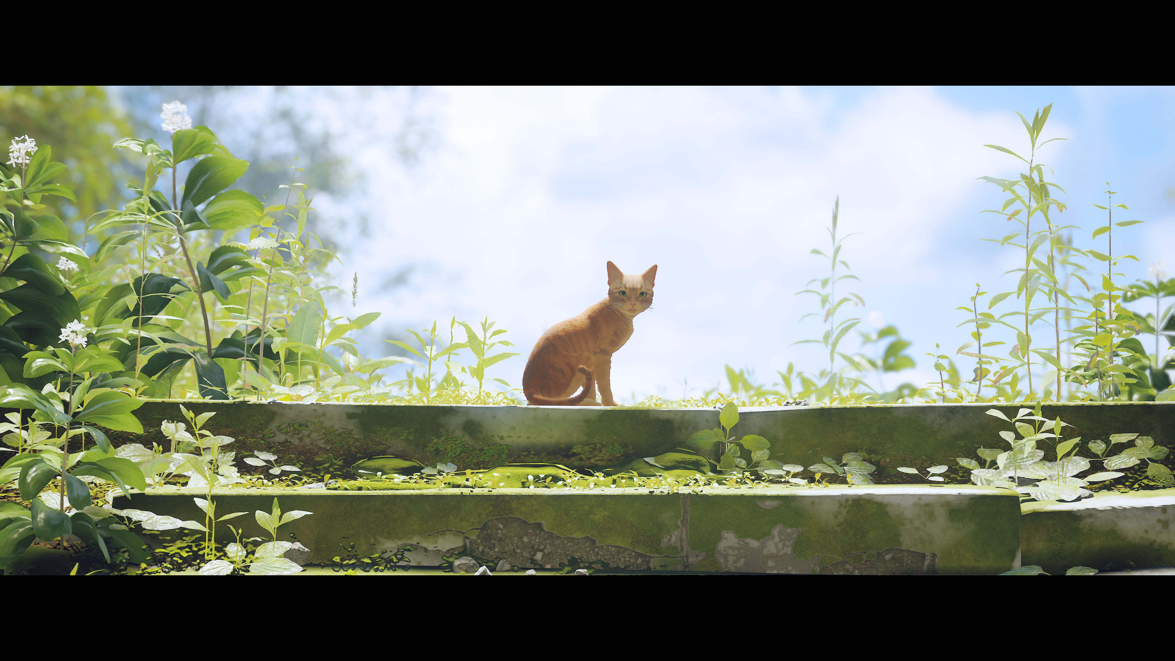 Stray - Gamereactor UK