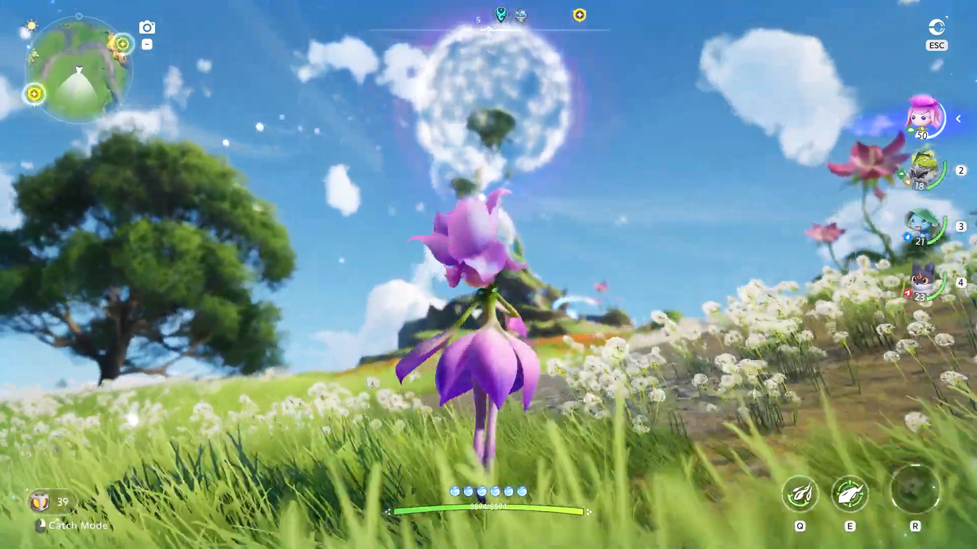 Pawprint Studio unveils new creature collector Aniimo