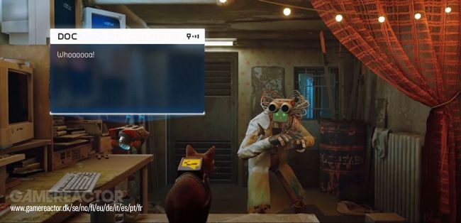 Stray Review - Gamereactor