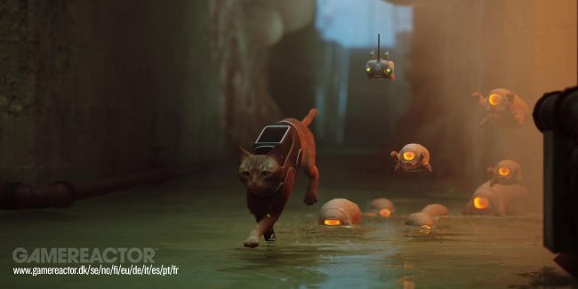 Stray Review - Gamereactor