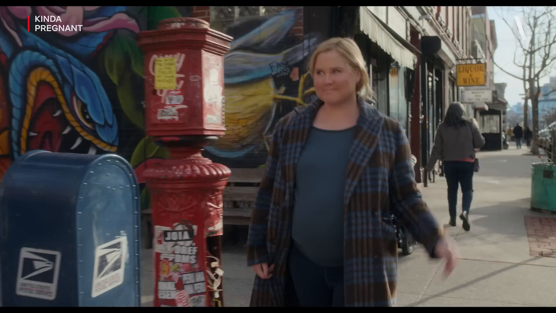 Amy Schumer leads Netflix's next rom-com known as Kinda Pregnant