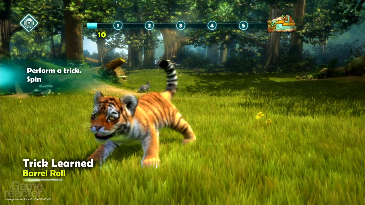 Kinectimals Review - Gamereactor