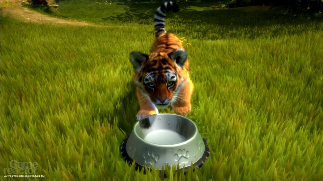 Kinectimals - Gamereactor UK