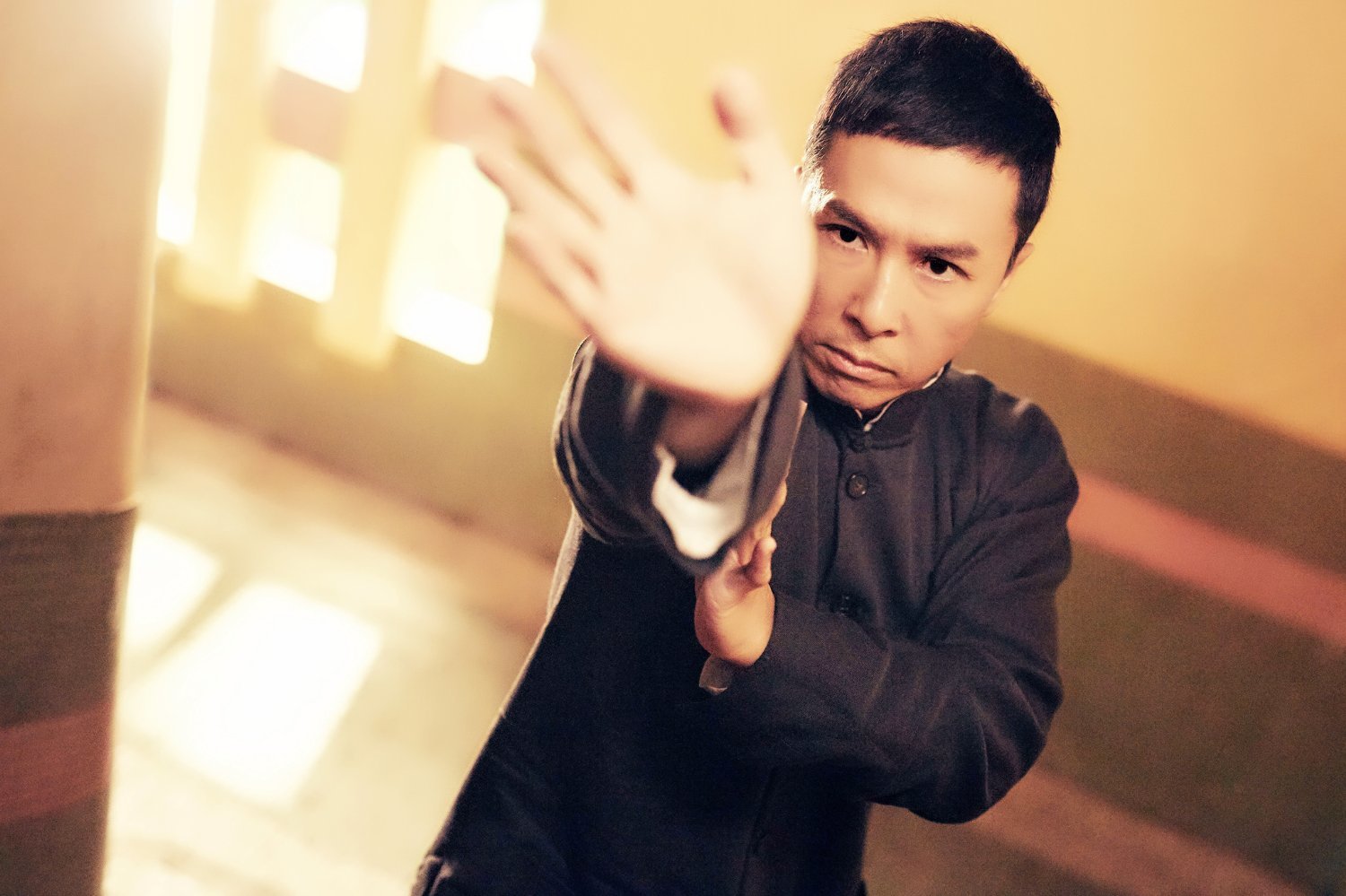 IP Man star Donnie Yen in a Sleeping Dogs movie?