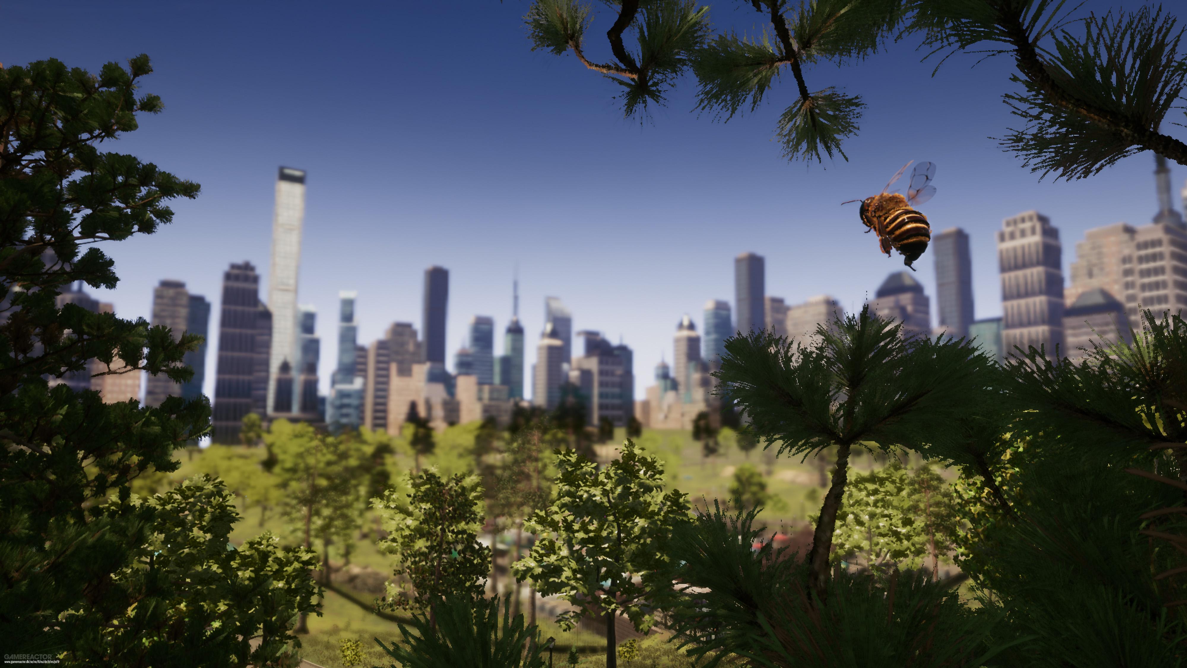 Bee Simulator will make you "like them much more"