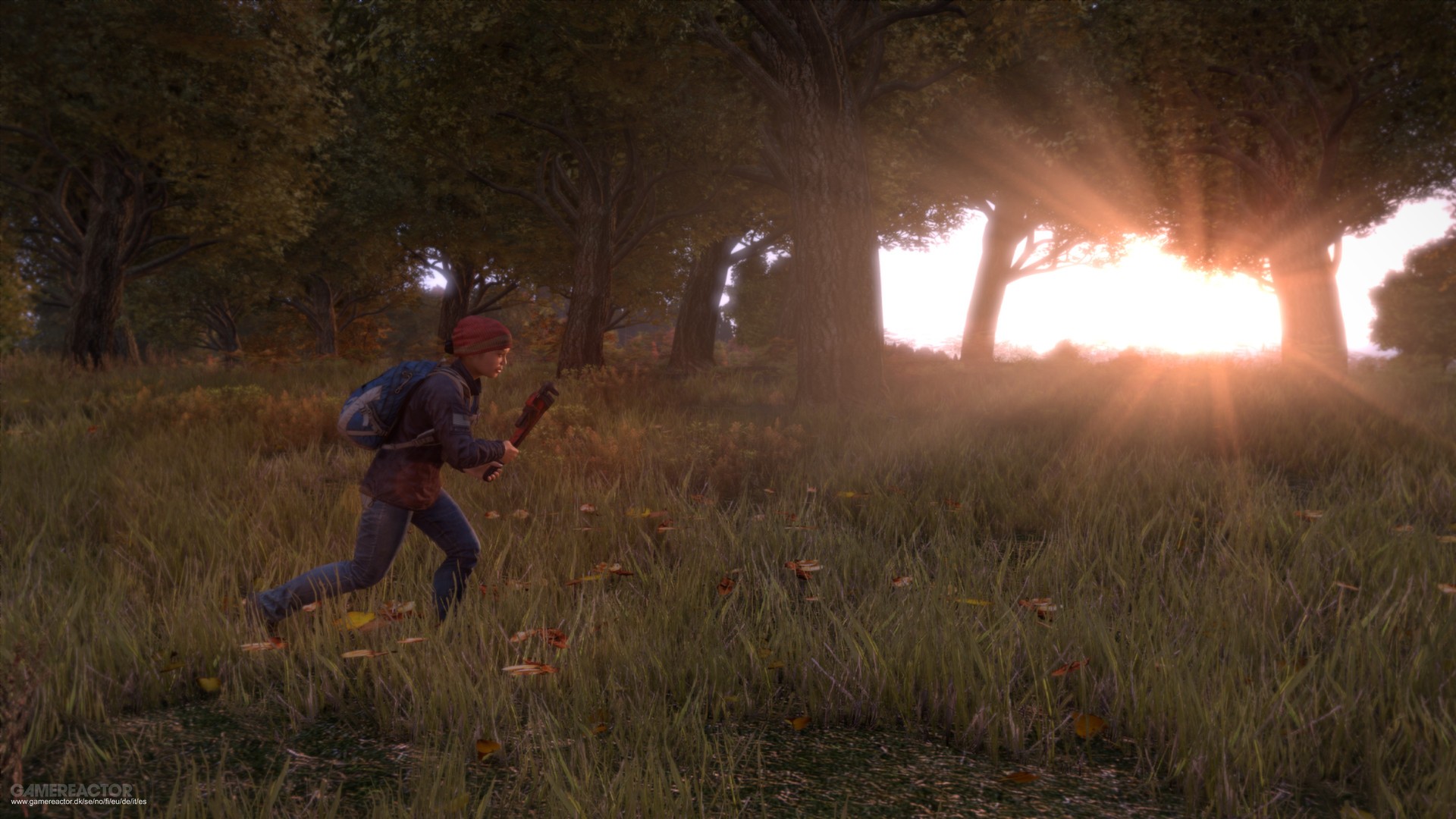 DayZ sells a million