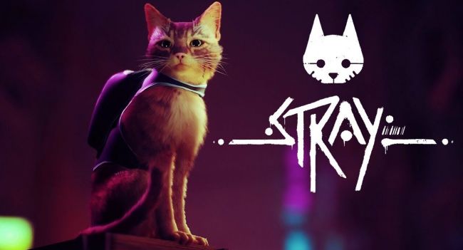 Stray gets ready for its arrival on Xbox consoles