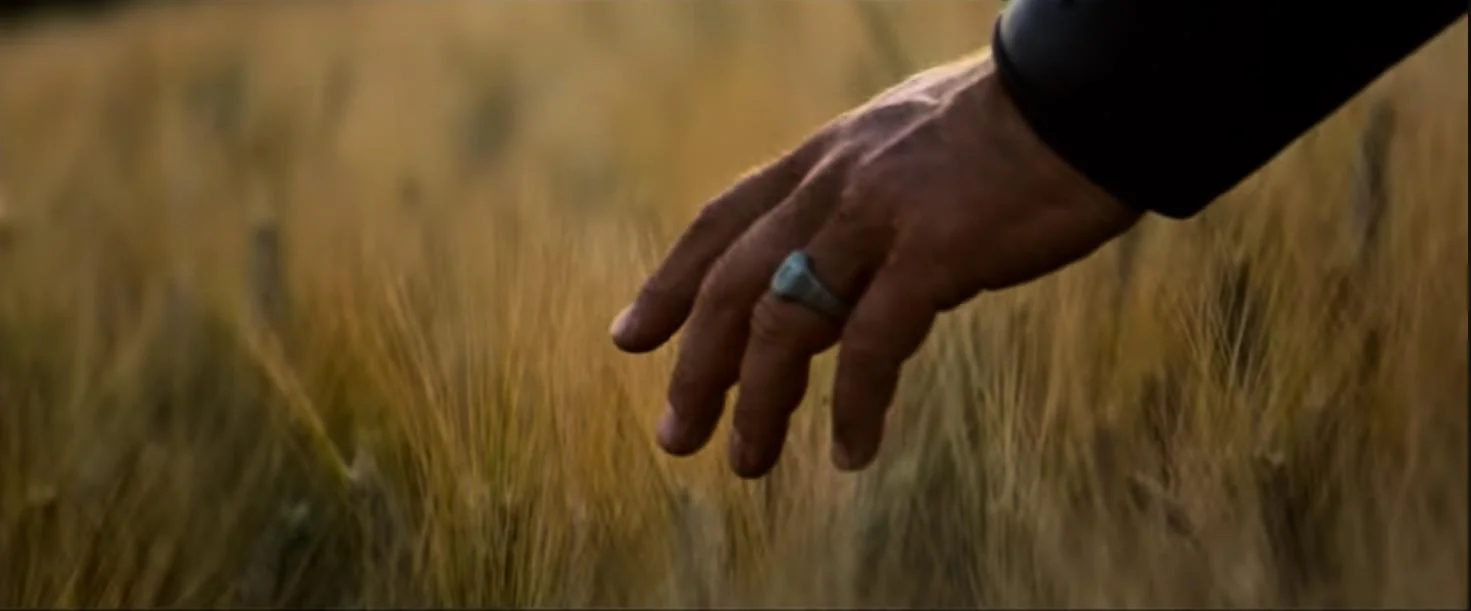Scientists discover "seventh sense" that allows humans to touch things ...