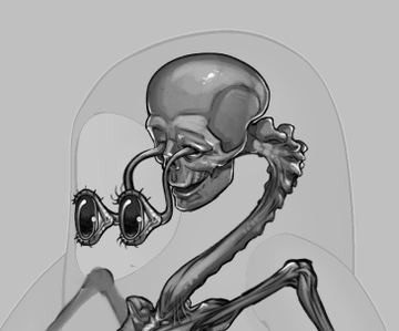 Here's a disturbing look at the inside of a Fall Guys character