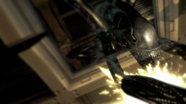 Aliens vs Predator - fight! - Aliens vs. Predator - Gamereactor