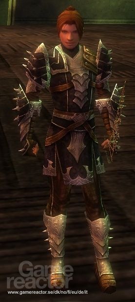 Guild Wars costume contest over!