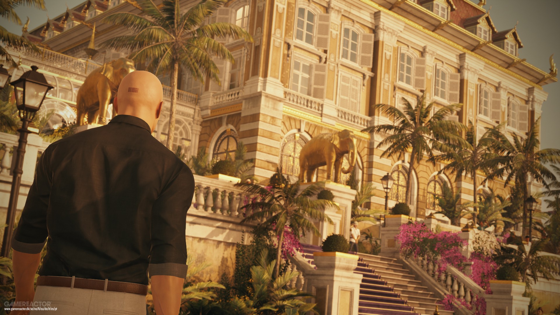 Hitman story to be "blown wide open" at the end of Season 1