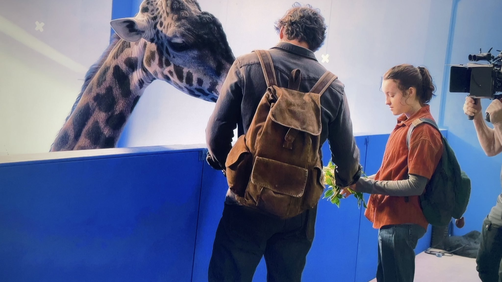 HBO's The Last of Us used real, trained giraffes for that scene - The Last of Us (HBO Max ...