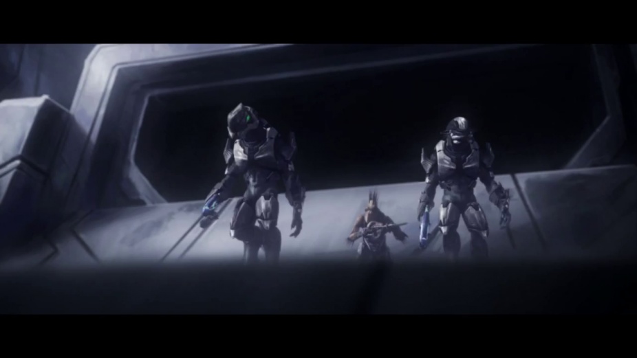 Halo Terminals