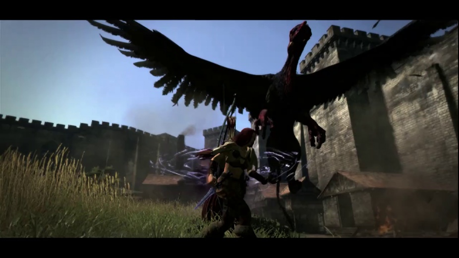 Dragon's Dogma - Cockatrice Gameplay