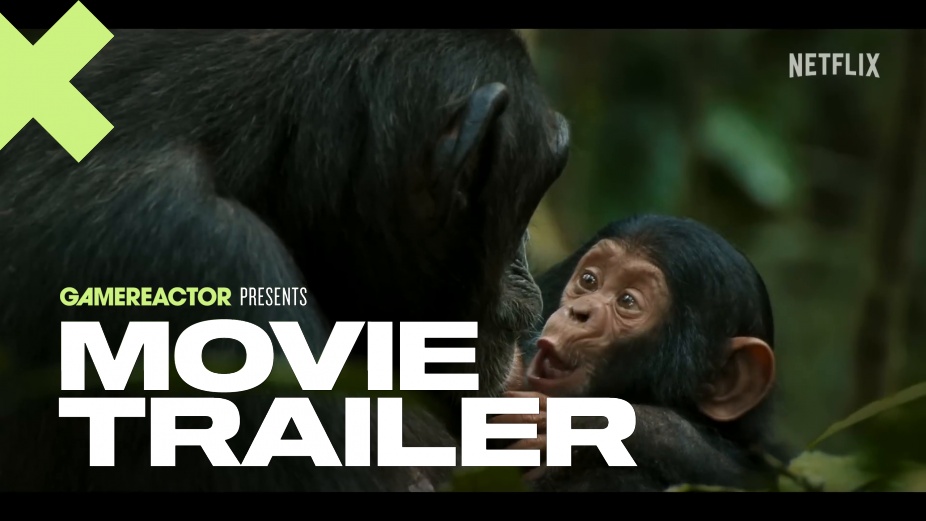 Chimpanzee Movie Trailer